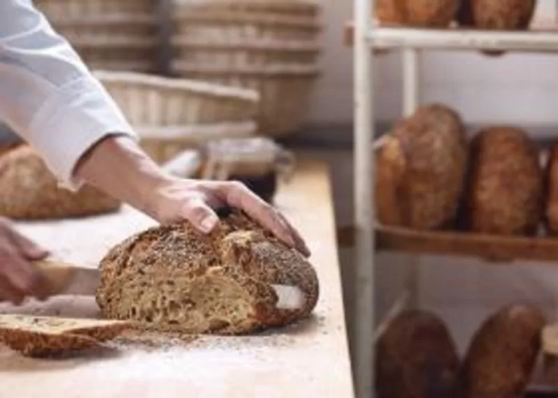 An introduction to rye / Why rye? Benefits and qualities of rye bread