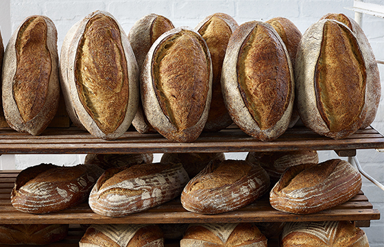 An introduction to rye - Puratos