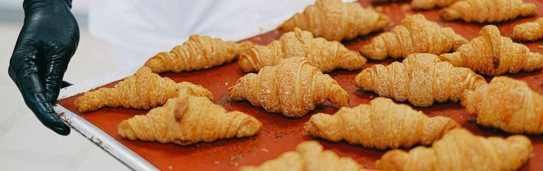 How to create healthier and tastier food with sensory analysis - Puratos