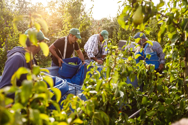 Dedicated to bakers, pastry chefs and chocolatiers