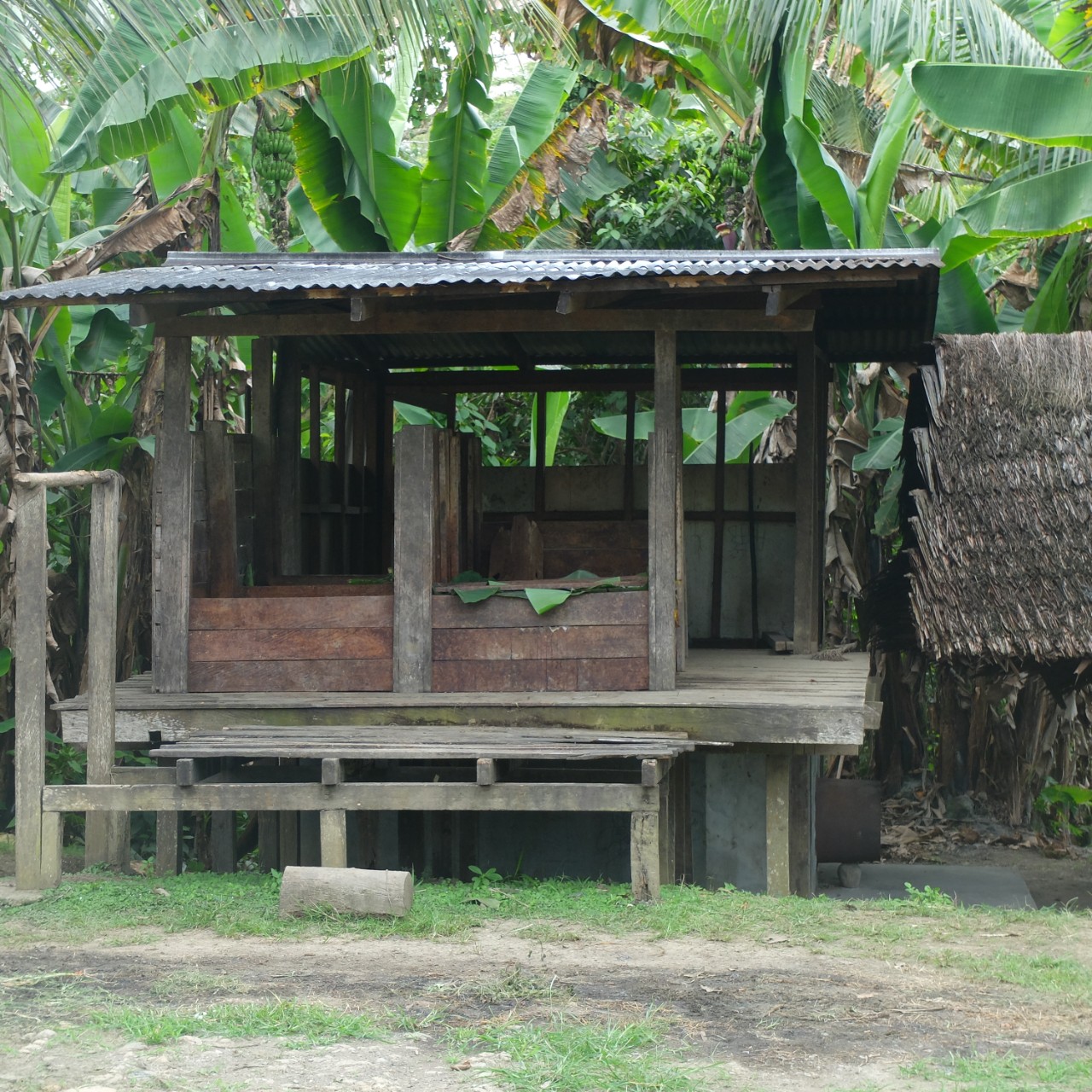 Cacao-Trace launches in Papua New Guinea - Puratos