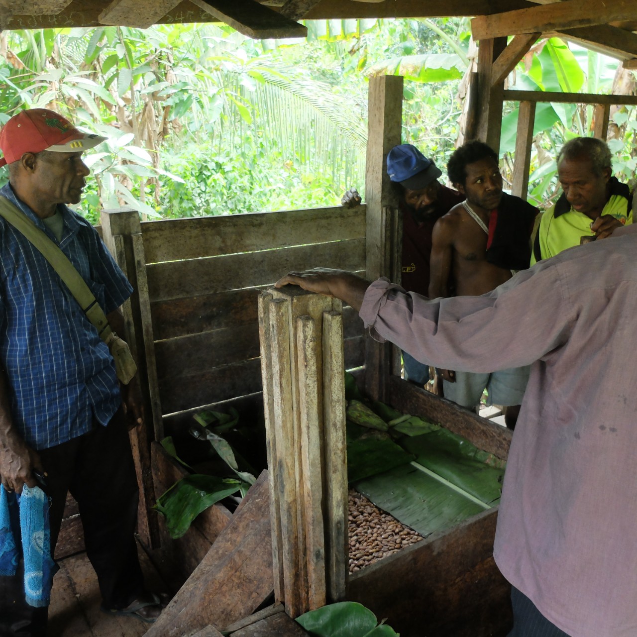 Cacao-Trace launches in Papua New Guinea - Puratos