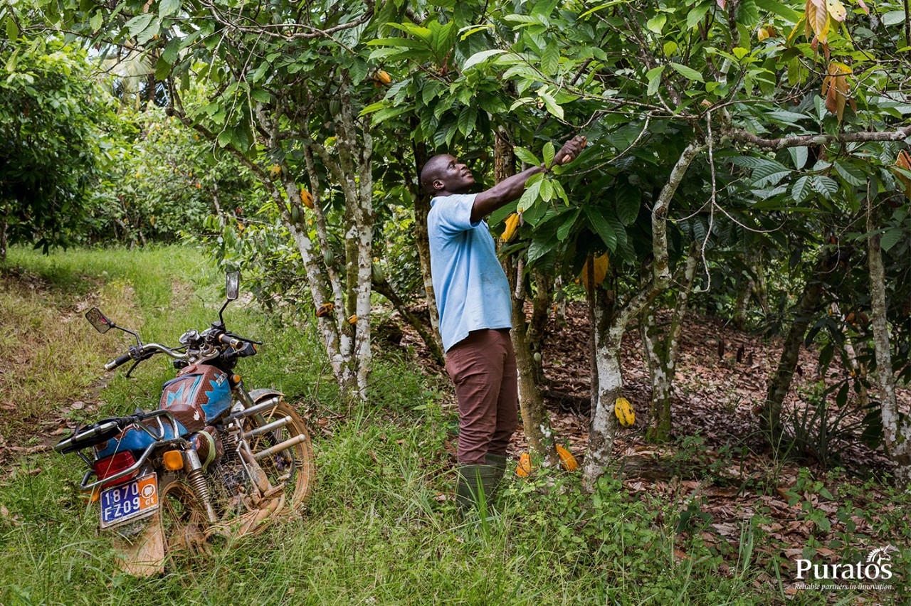 Let's eliminate child labour from the world of chocolate for good - Puratos