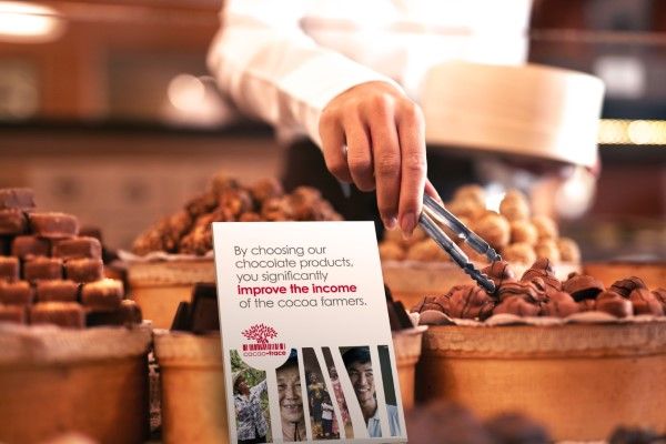 Explore Cacao-Trace's Latest Achievements in Sustainable Cocoa Impact ...